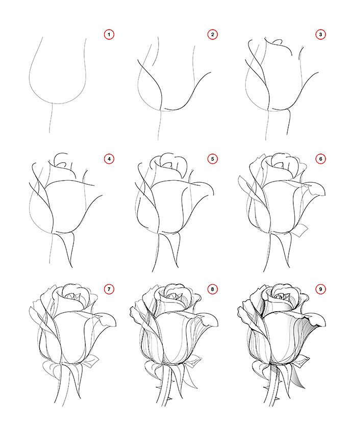 How To Draw Things Step By - Permissioncommission How To Draw Things Step By - Permissioncommission