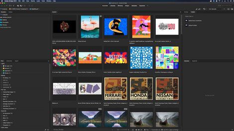 Digital Photo Organizer Viewer And Editor Software